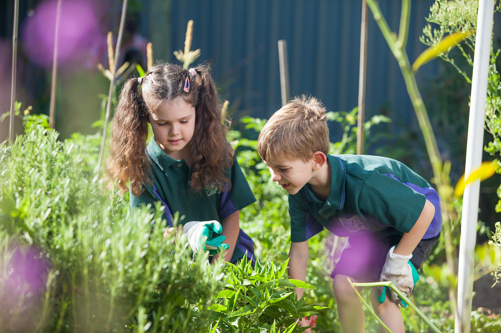 Photo Gallery - Prospect North Primary School
