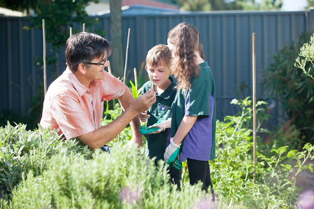 Photo Gallery - Prospect North Primary School